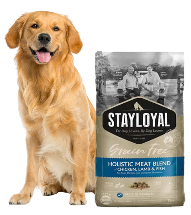 Dry Dull Coat – Stay Loyal