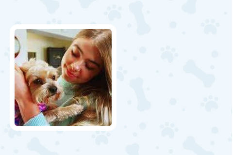 Loyal Fans – Stay Loyal