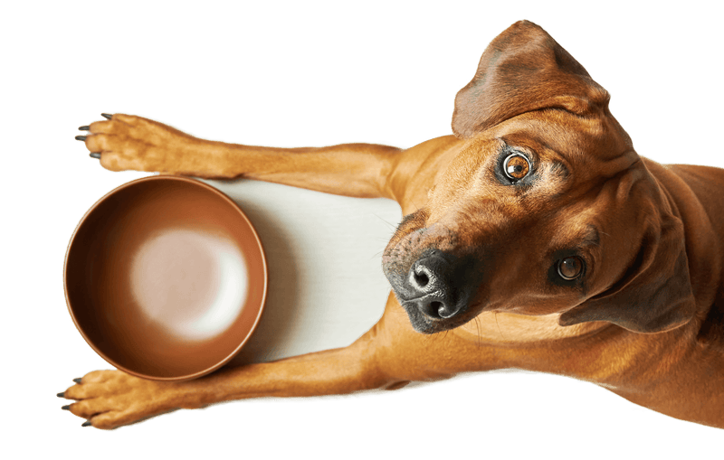 Products – Stay Loyal