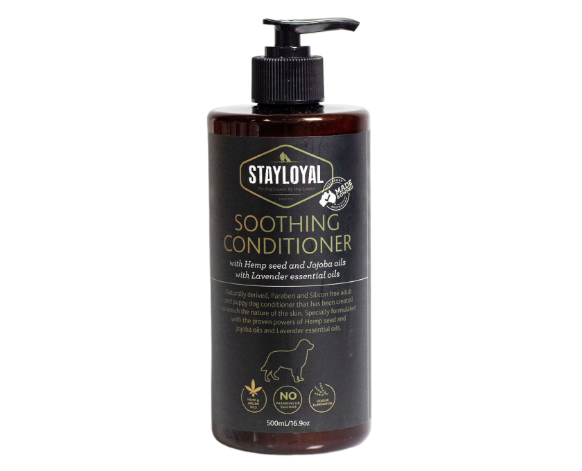 Shampoo & Conditioner – Stay Loyal