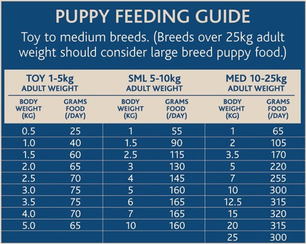 Stay Loyal Chicken, Lamb & Fish - Super Premium Grain-Free Dog Food